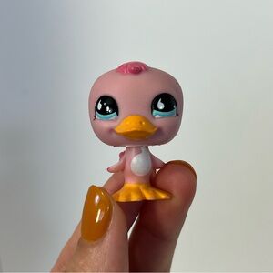 Littlest Pet Shop | Toys | 825 826 Sportiest Black Boxer Dog Pink Duck ...